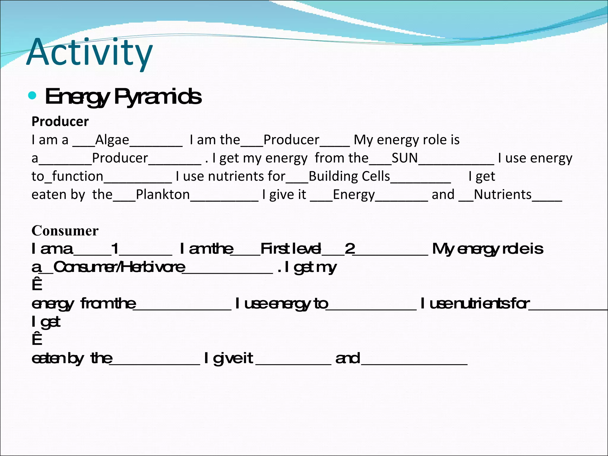 Ppt Ecology Energy Pyramid | PPT