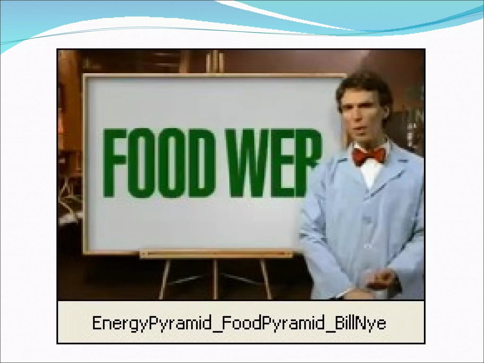 Ppt Ecology Energy Pyramid | PPT