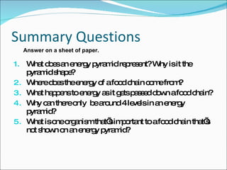 Ppt Ecology Energy Pyramid | PPT