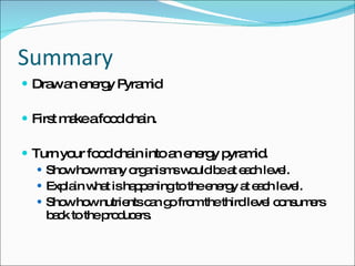 Ppt Ecology Energy Pyramid | PPT