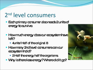 Ppt Ecology Energy Pyramid | PPT