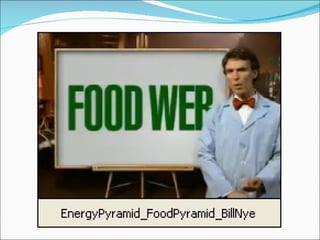 Ppt Ecology Energy Pyramid | PPT