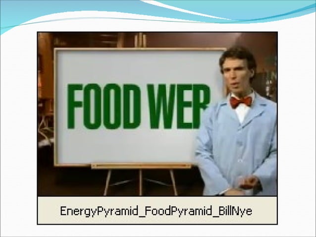 Ppt Ecology Energy Pyramid | PPT