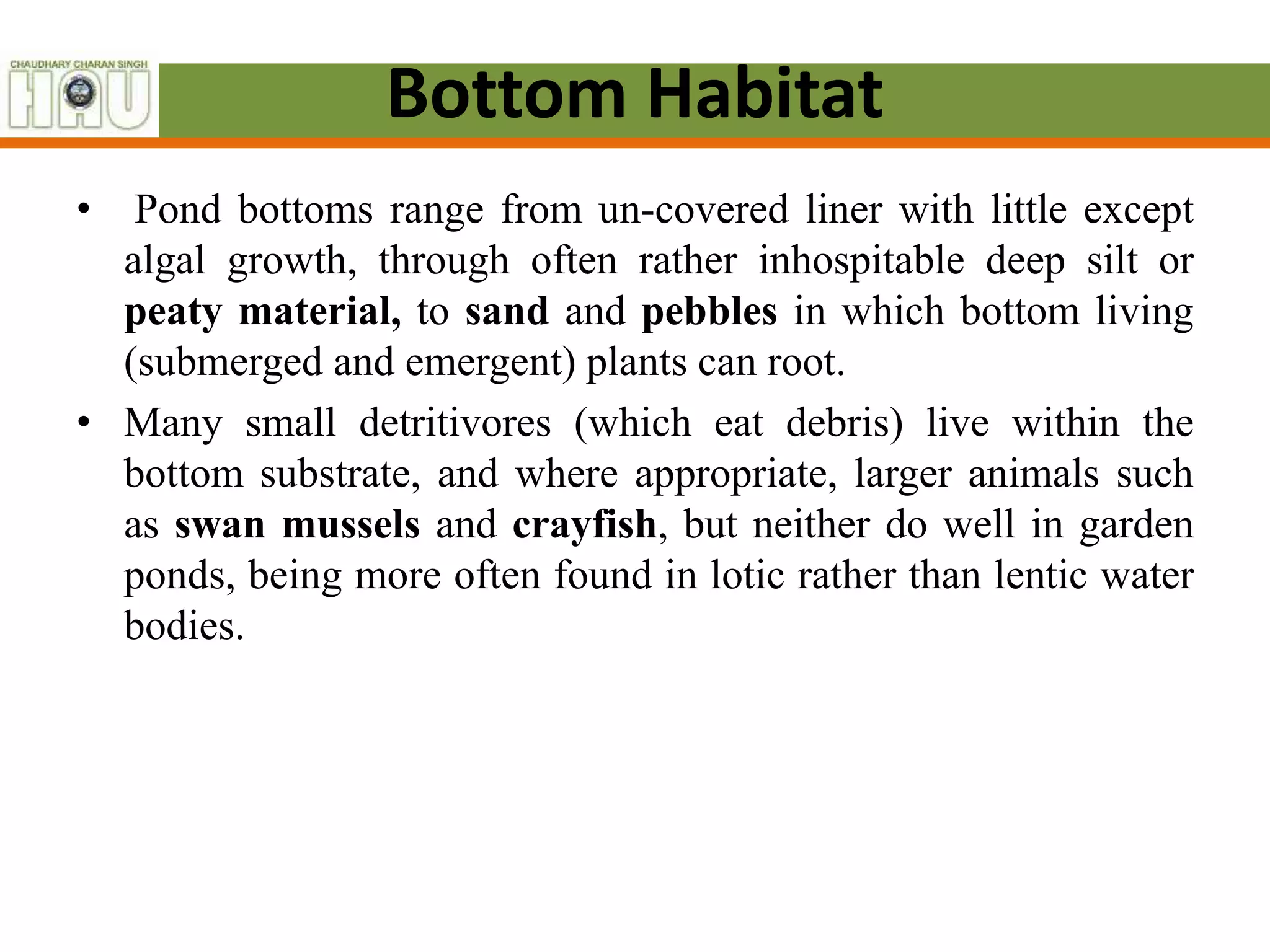 Ppt ecology of fish pond ecosystem | PPTX