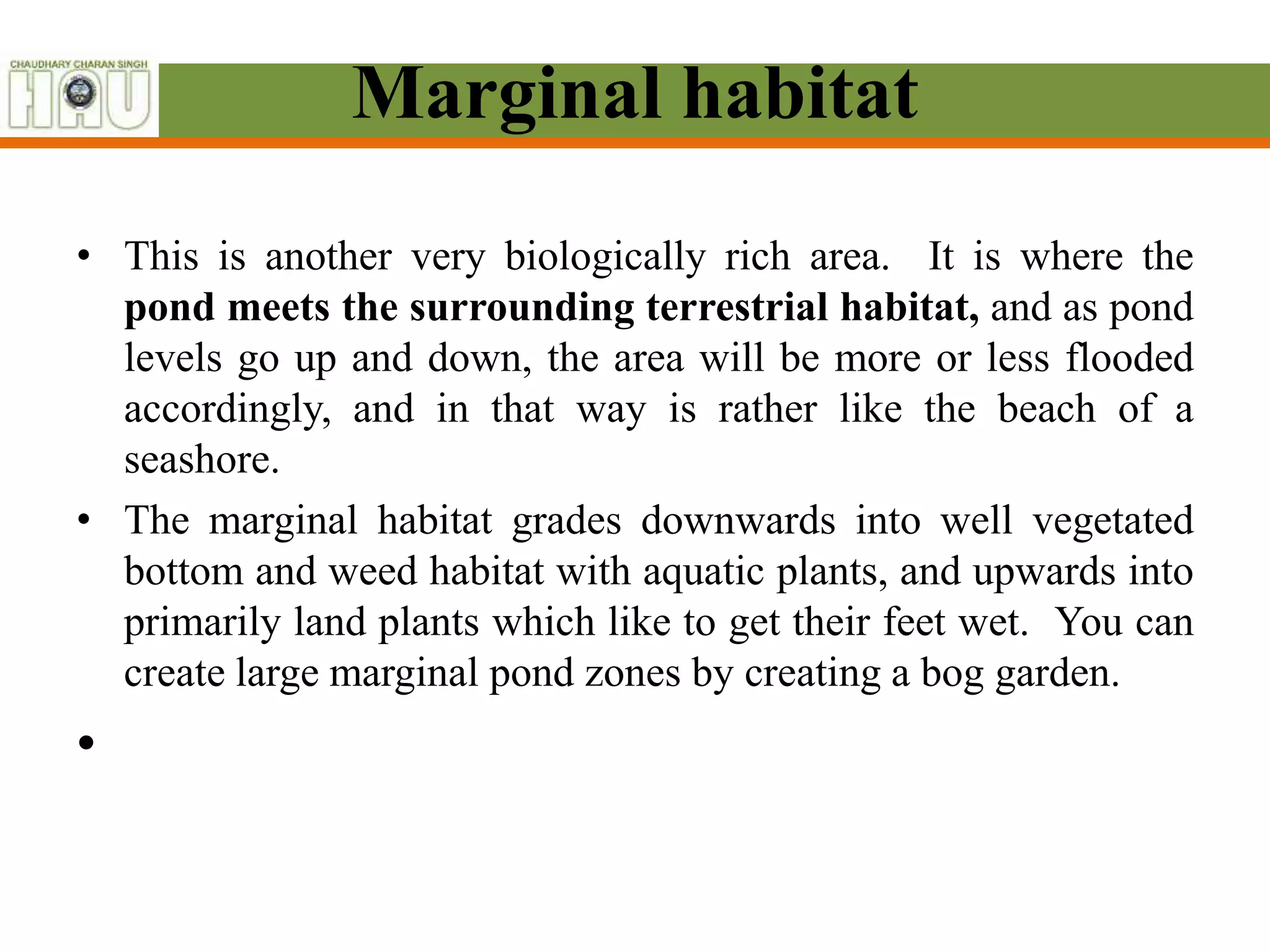 Ppt ecology of fish pond ecosystem | PPTX