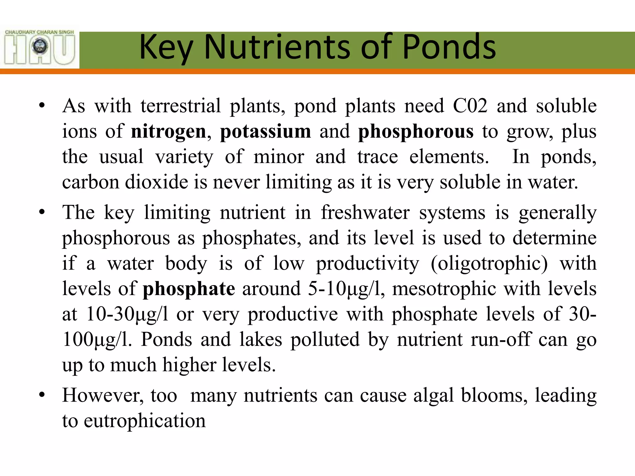 Ppt ecology of fish pond ecosystem | PPTX