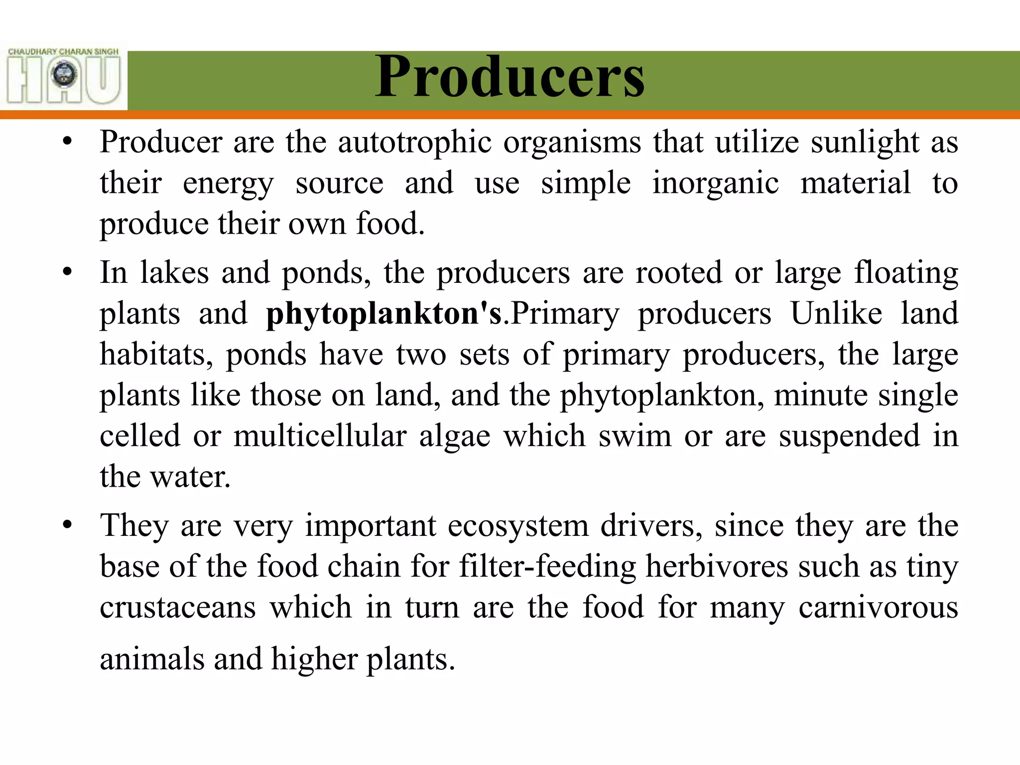 Ppt ecology of fish pond ecosystem | PPTX