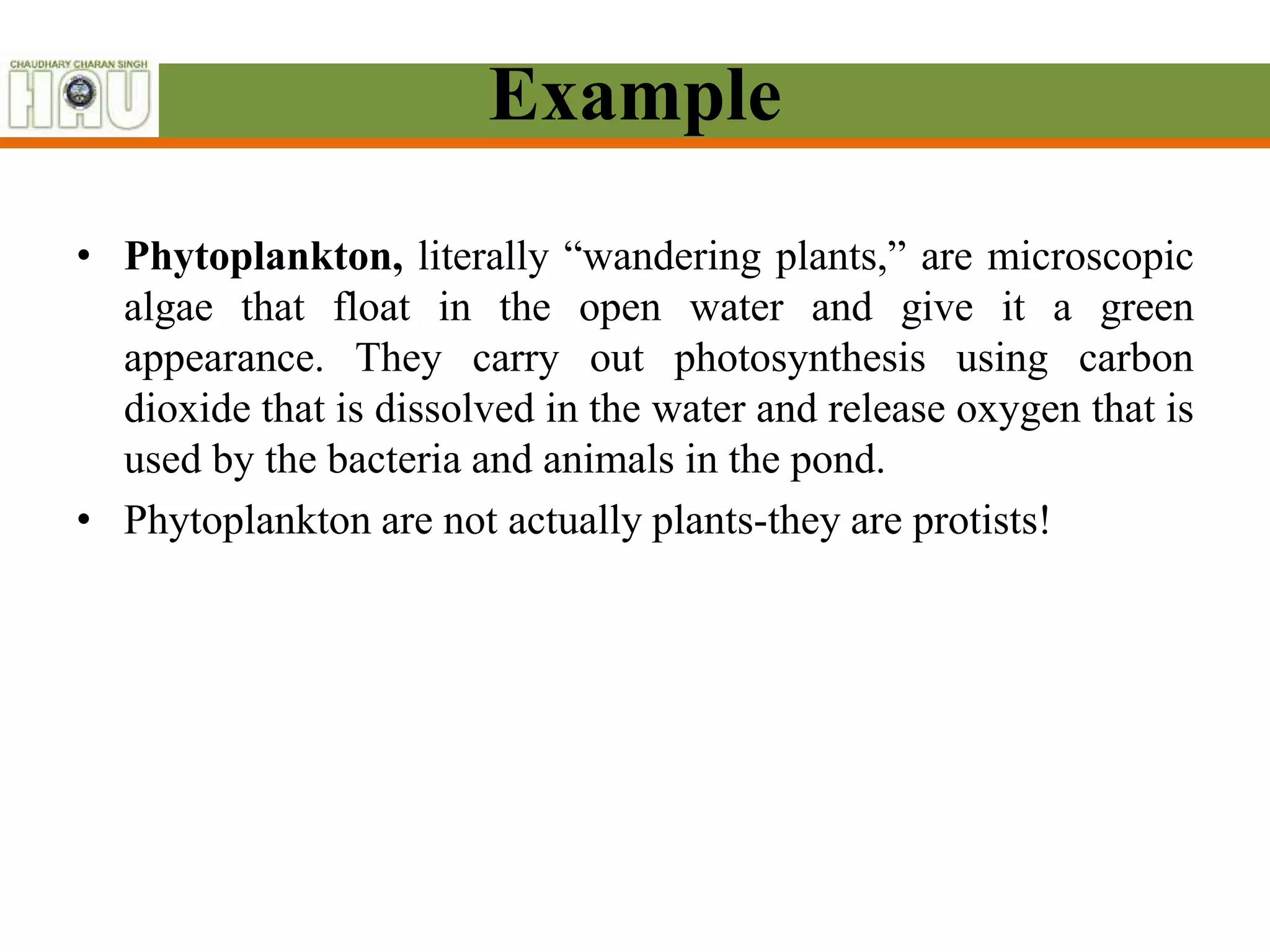Ppt ecology of fish pond ecosystem | PPTX