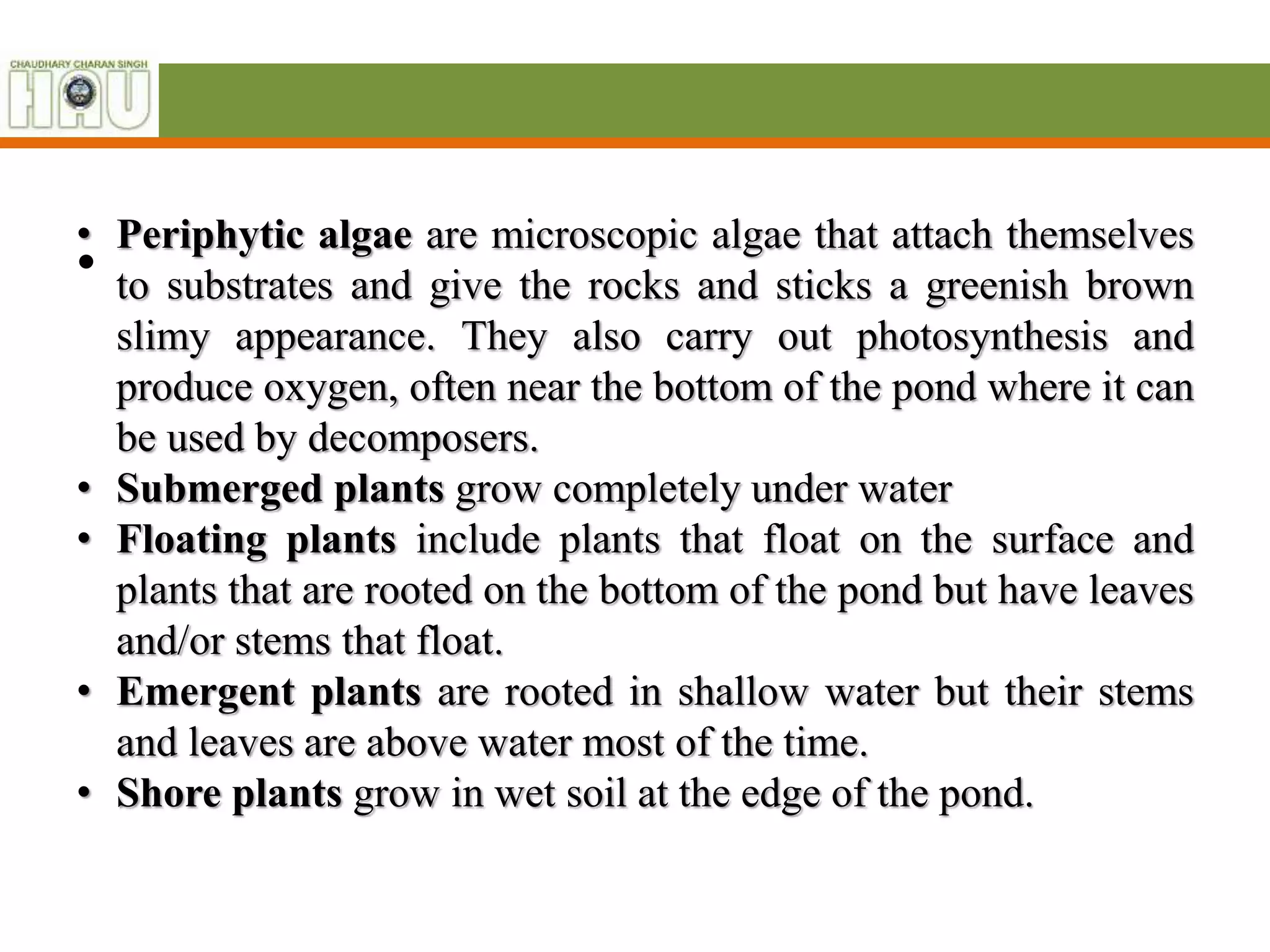 Ppt ecology of fish pond ecosystem | PPTX