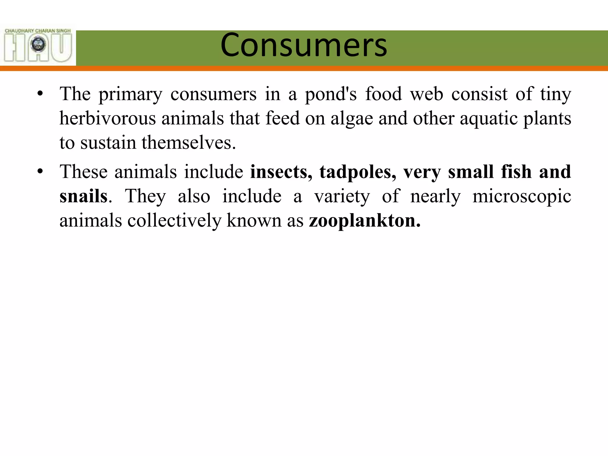 Ppt ecology of fish pond ecosystem | PPTX