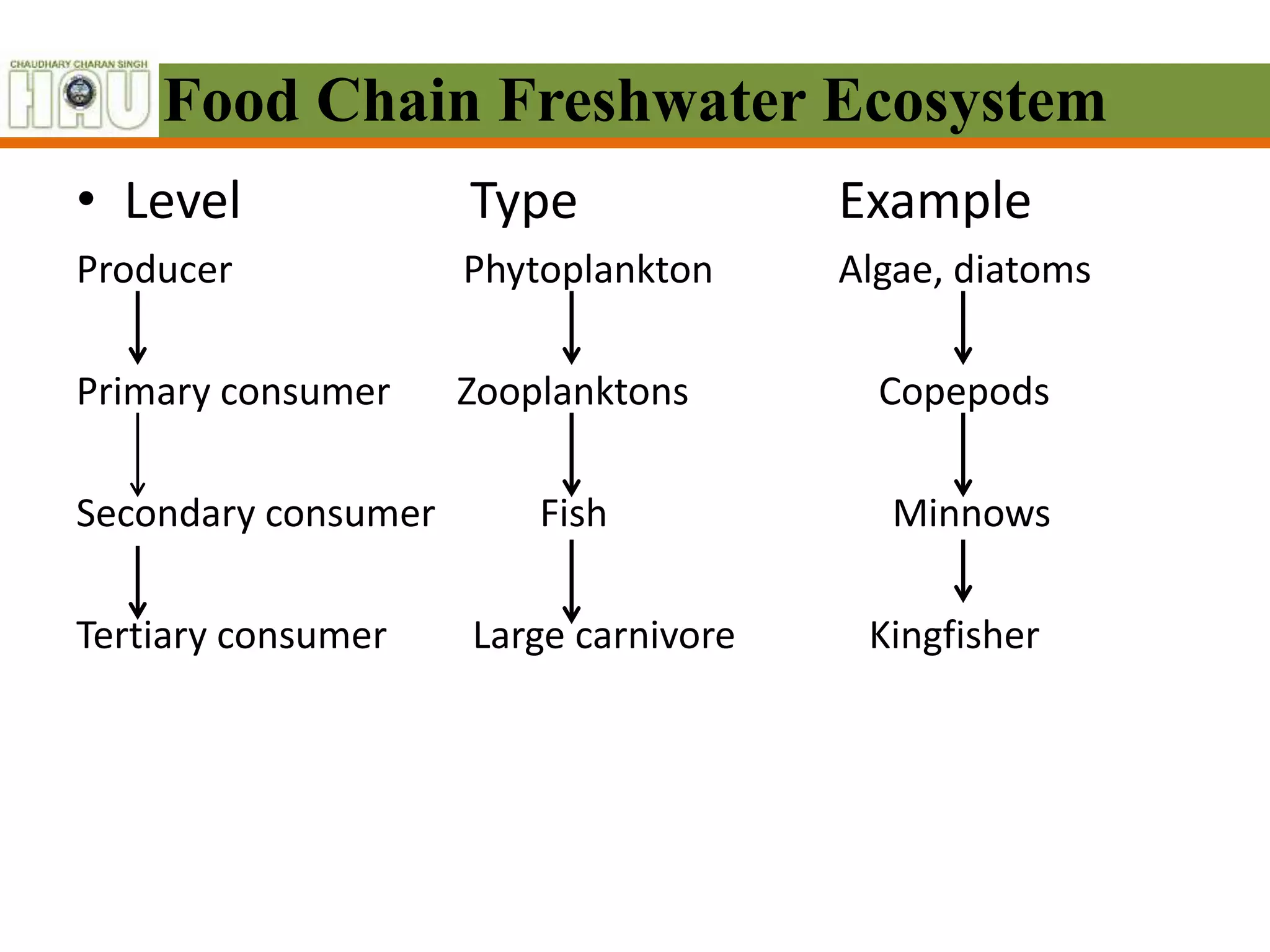 Ppt ecology of fish pond ecosystem | PPTX