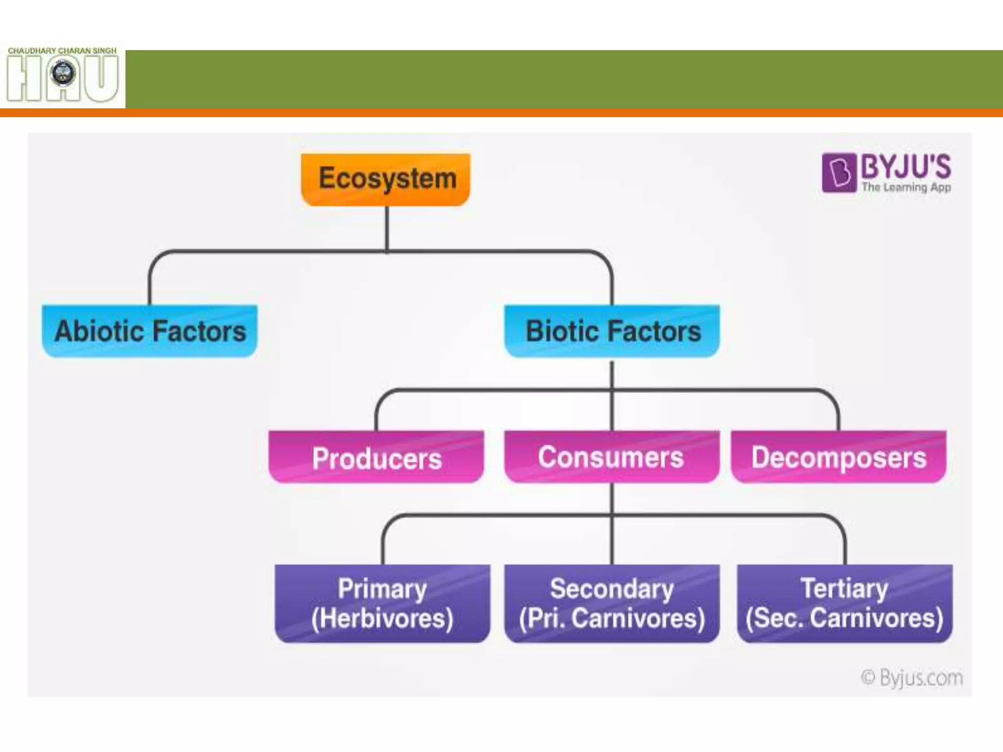 Ppt ecology of fish pond ecosystem | PPTX