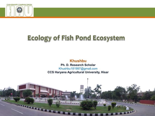 Ppt ecology of fish pond ecosystem | PPTX | Geography | Science