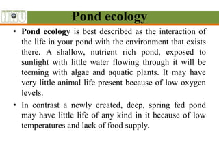 Ppt ecology of fish pond ecosystem | PPTX