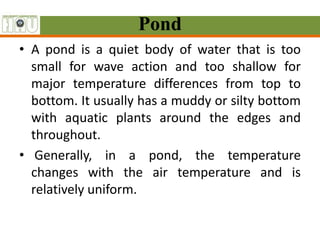 Ppt ecology of fish pond ecosystem | PPTX