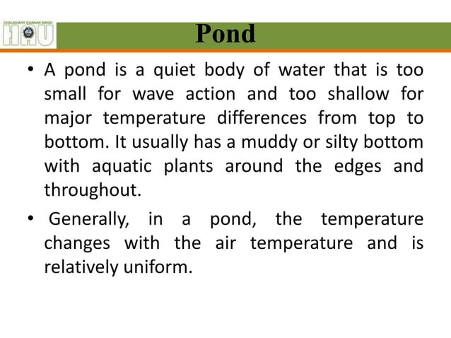 Ppt ecology of fish pond ecosystem | PPTX | Geography | Science