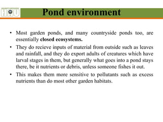 Ppt ecology of fish pond ecosystem | PPTX
