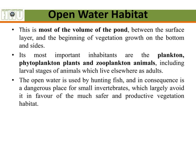 Ppt ecology of fish pond ecosystem | PPTX | Geography | Science