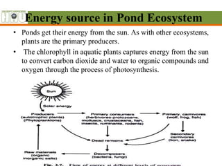 Ppt ecology of fish pond ecosystem | PPTX