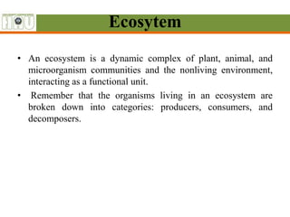 Ppt ecology of fish pond ecosystem | PPTX