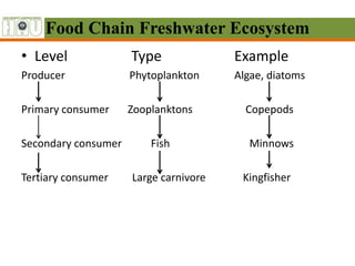 Ppt ecology of fish pond ecosystem | PPTX