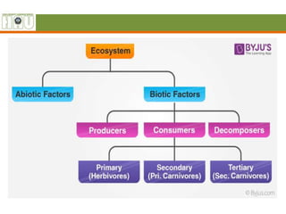 Ppt ecology of fish pond ecosystem | PPTX