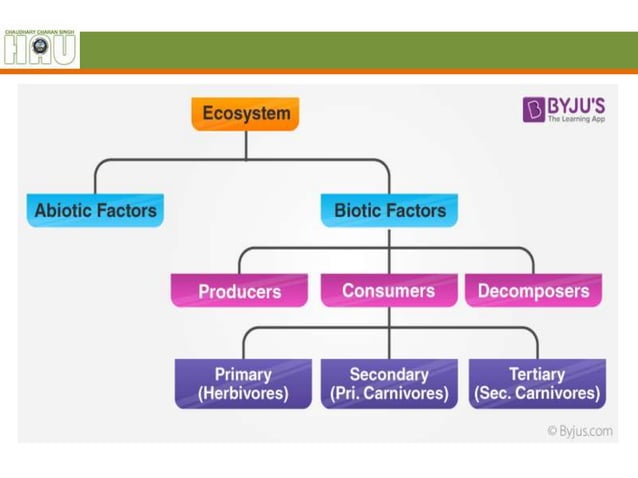 Ppt ecology of fish pond ecosystem | PPTX | Geography | Science