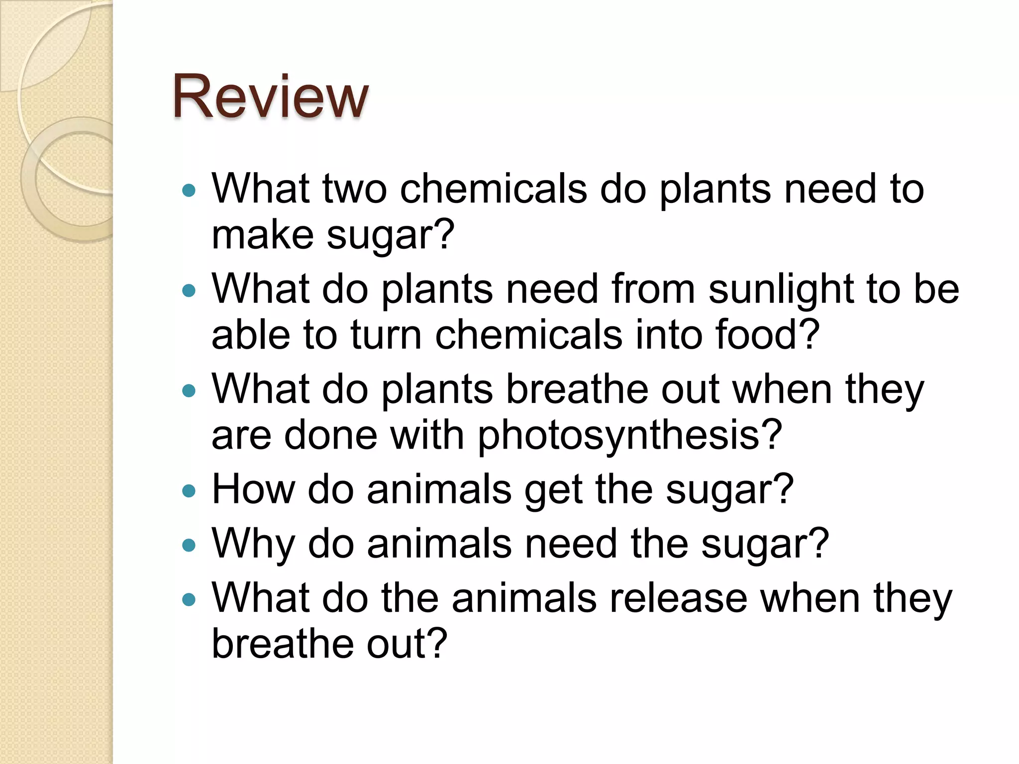 Ppt Ecol Photosynthesis | PPTX | Chemistry | Science