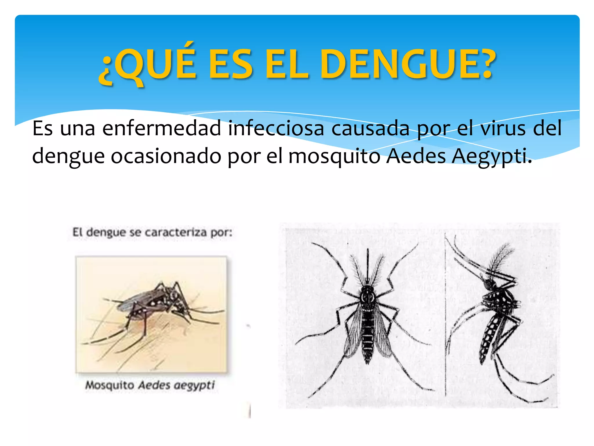 Ppt educacion dengue | PPT