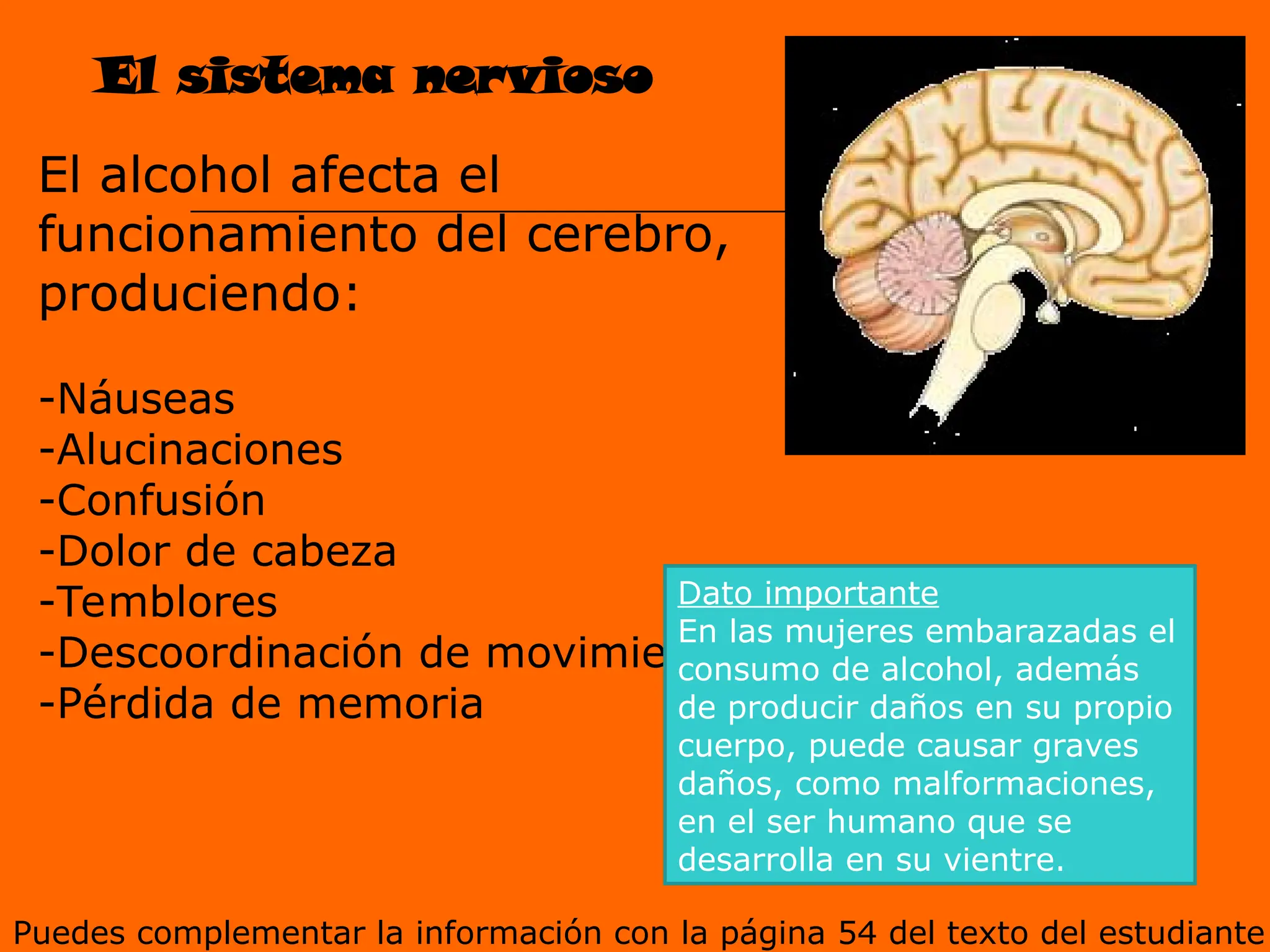 ppt efecto del alcohol en el sistema nervioso.ppt