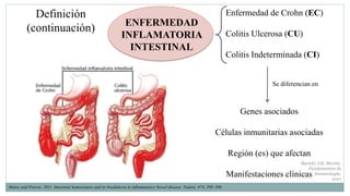 ENFERMEDAD INFLAMATORIA INTESTINAL (EII) ENFERMEDAD DE CROHN (EC ...