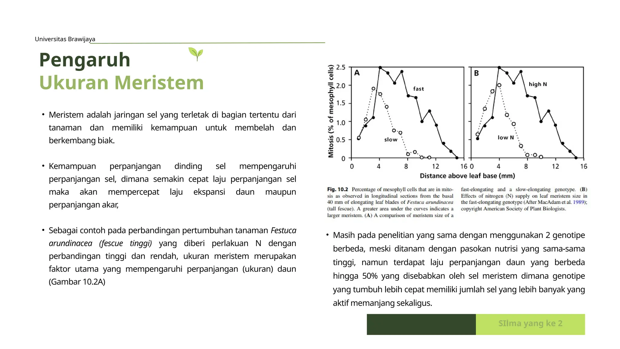 PPT EKOFISIOLOGI Growth of Whole Plants and individual organs | PPTX