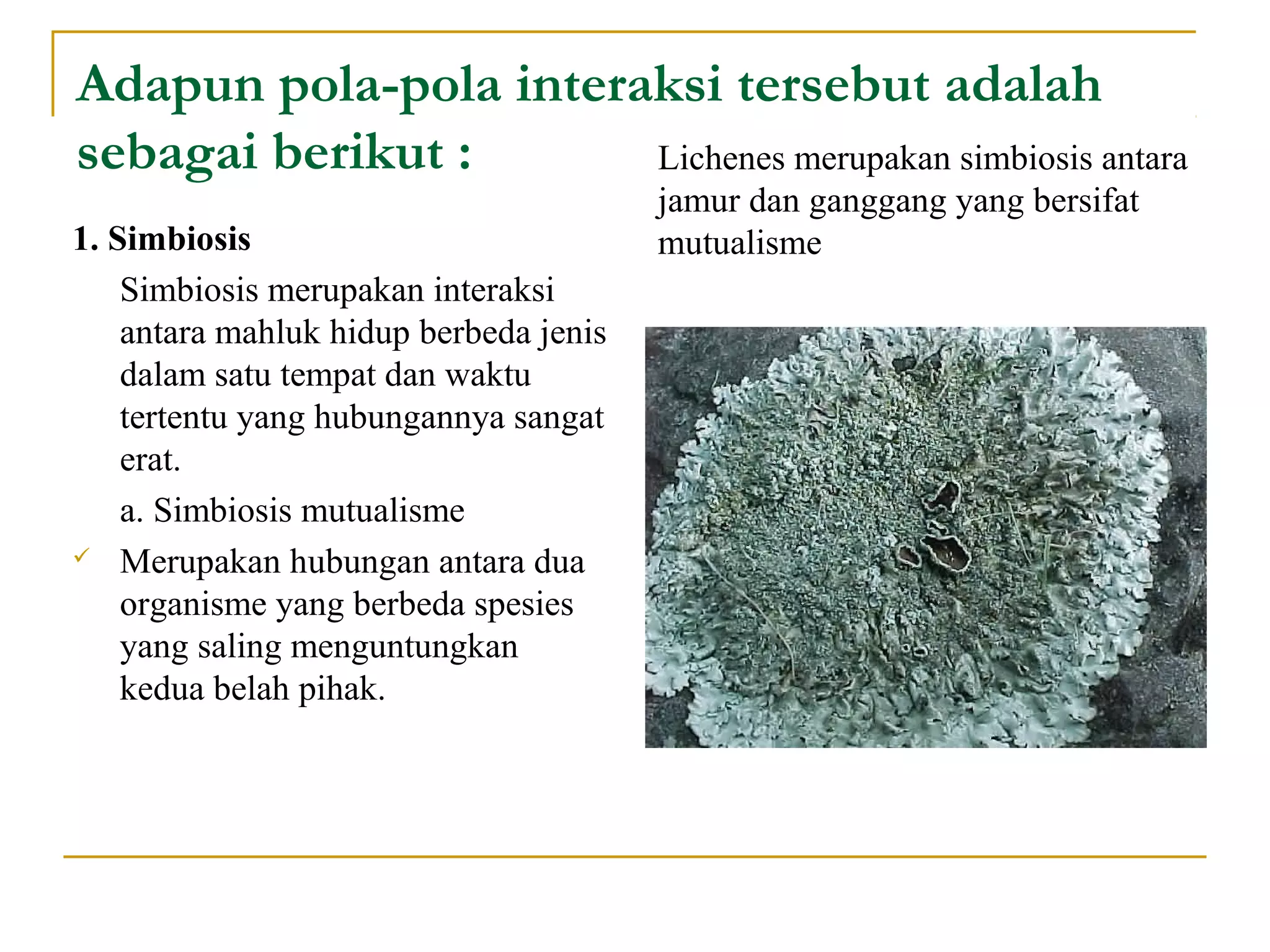 Ppt ekologi tumbuhan | PPT