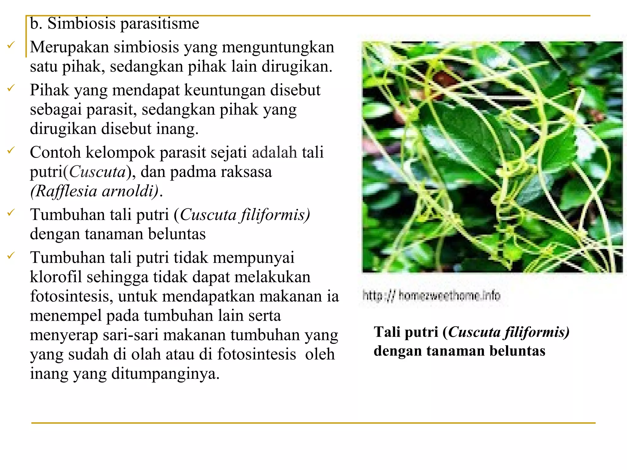 Ppt ekologi tumbuhan | PPT