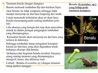 Ppt ekologi tumbuhan | PPT