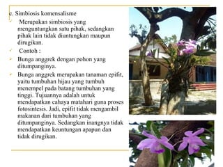 Ppt ekologi tumbuhan | PPT