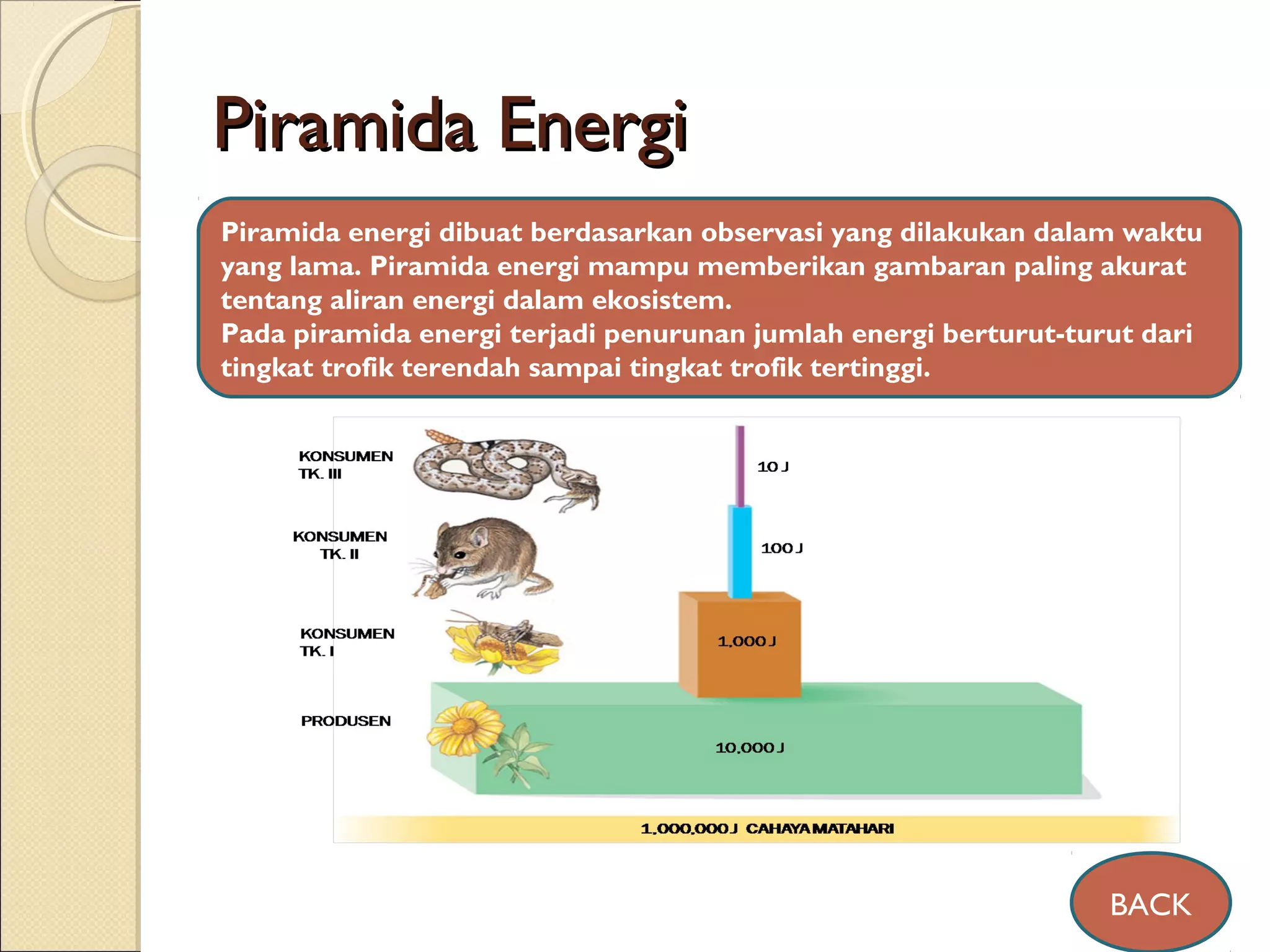 Ppt ekosistem | PPT