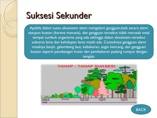 Ppt ekosistem | PPT