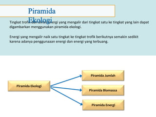 PPT EKOSISTEM.pptx