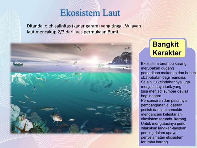 PPT EKOSISTEM.pptx