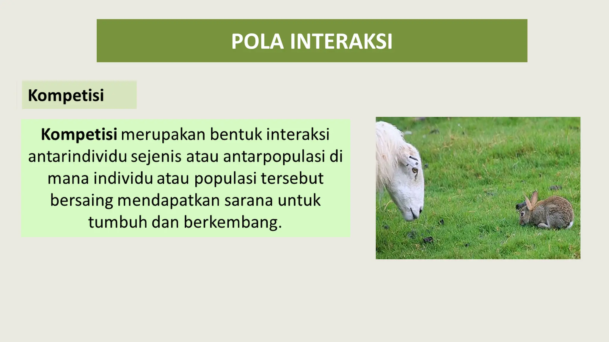 PPT EKOSISTEM materi kelas 7 yang berisi materi tentang komponen ekosistem, penyusun ekosistem ...