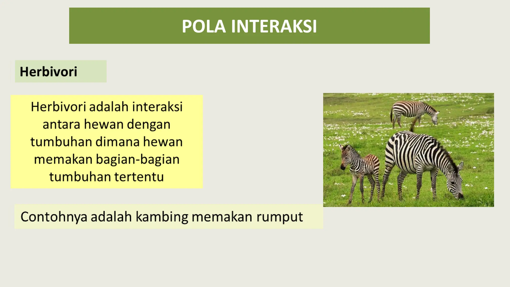 PPT EKOSISTEM materi kelas 7 yang berisi materi tentang komponen ekosistem, penyusun ekosistem ...