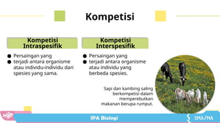Komponen Ekosistem dan Interaksinya (untuk SMA).pptx