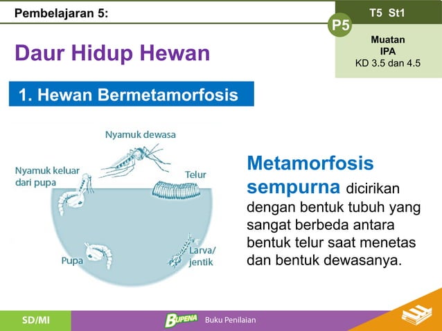 PPT Ekosistem untuk kelas 5 sd kurikulum merdeka.pptx