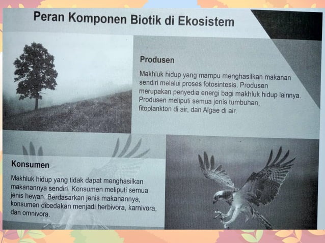 PPT EKOSISTEM IPAS Kelas 5 KURIKULUM MERDEKA | PPT