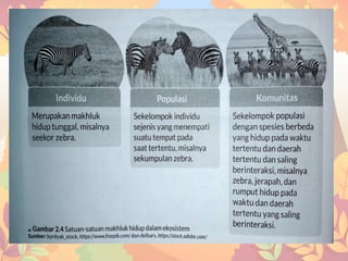 PPT EKOSISTEM IPAS Kelas 5 KURIKULUM MERDEKA | PPTX