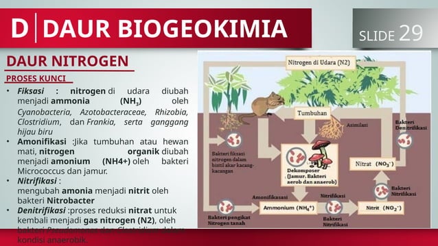 PPT EKOSISTEM Hubungan timbal balik.pptx