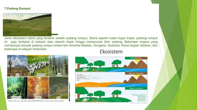 PPT EKOSISTEM_AIDAH.pptx