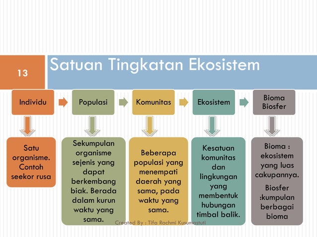 Ppt ekosistem kelas 7 | PDF