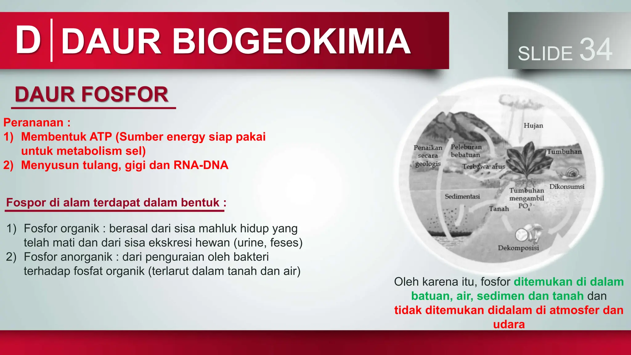 PPT EKOSISTEM KLS X SIM.pptx